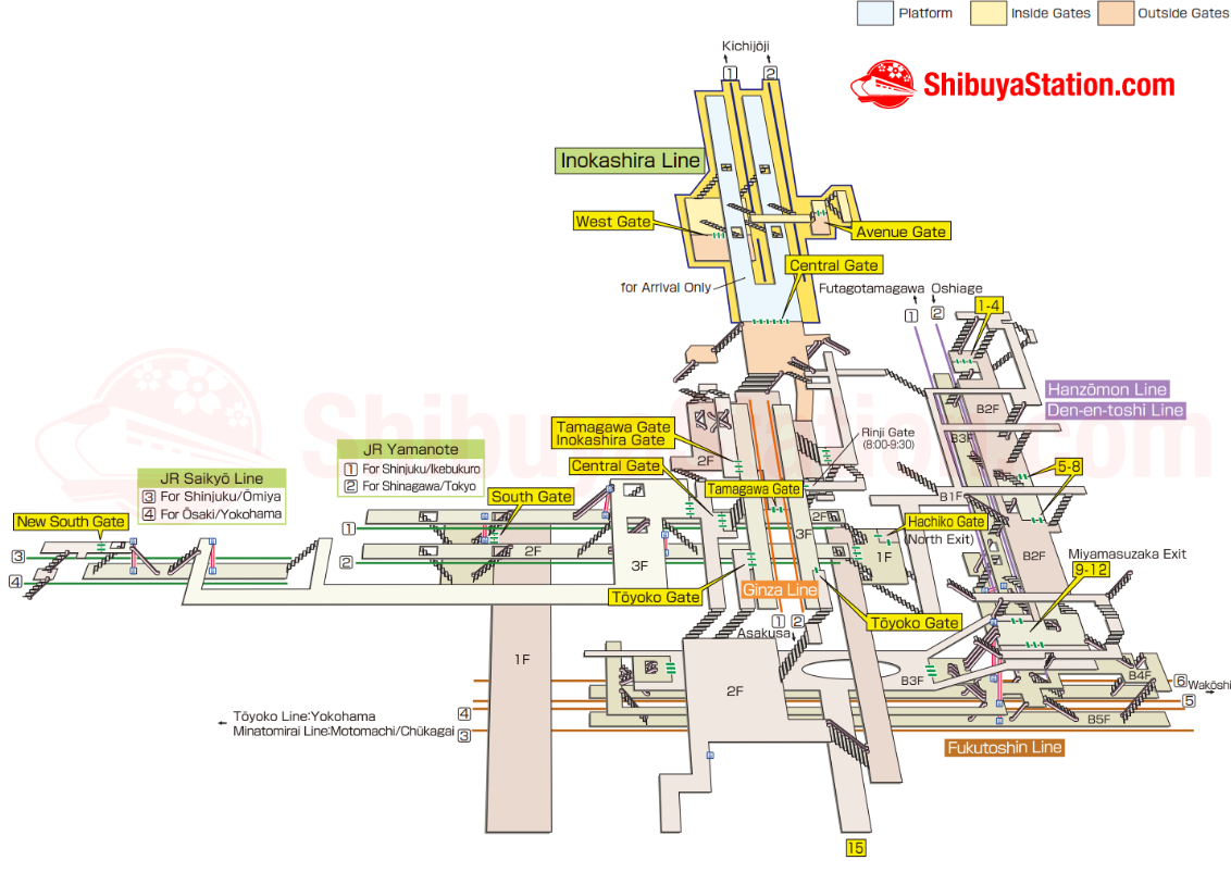 Shibuya : Shopping and Relaxation Spot Guide - Enigmatic Japan